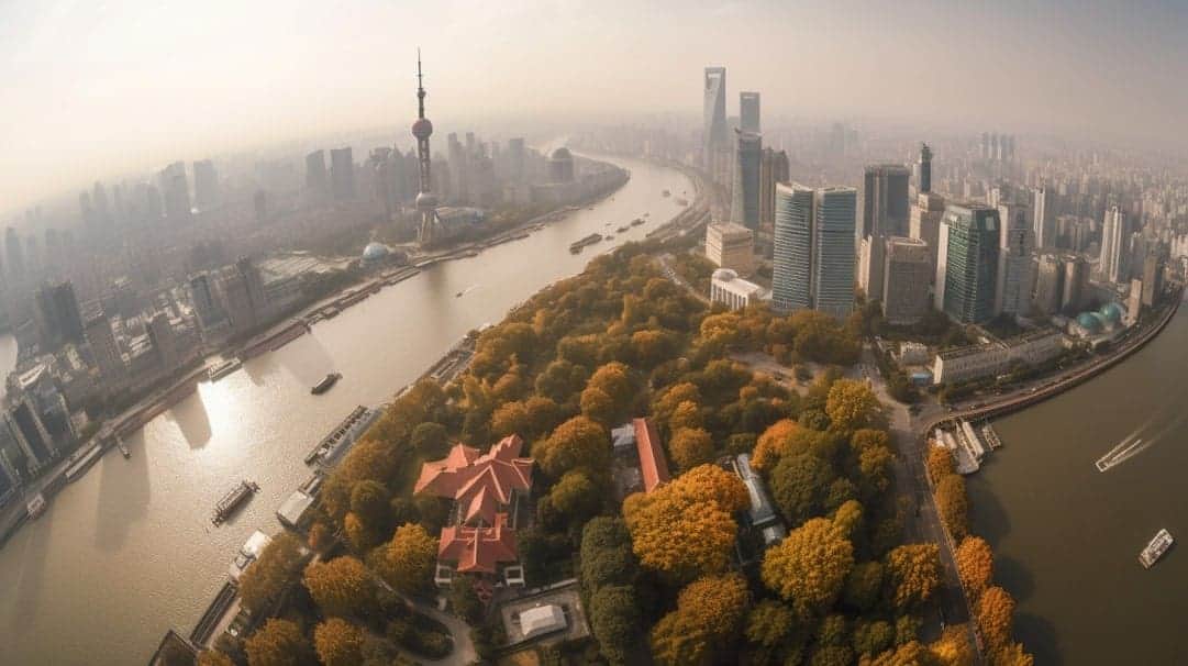A history of Arboriculture - Shanghai | Tree Future